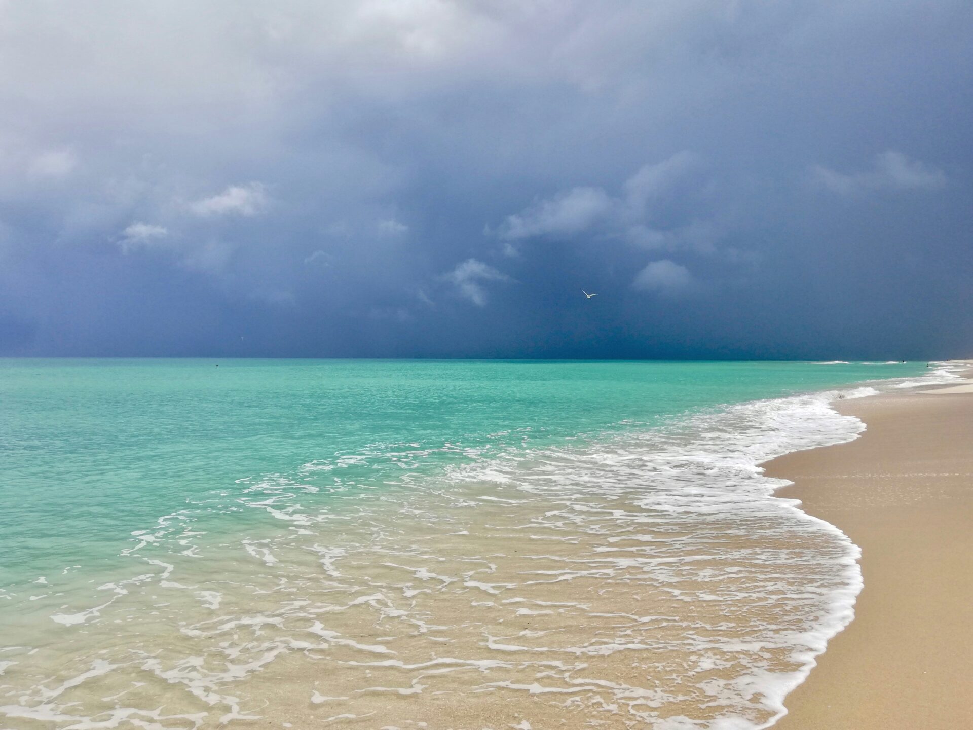 10 Surprising — and Unsettling — Truths About Life in Florida ...