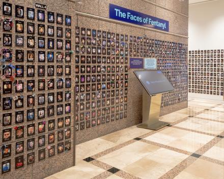 DEA Wall of Faces Reveals Fentanyl’s True Grip on Florida - Uncovering ...