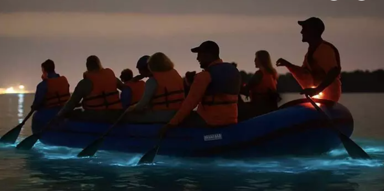 This Bioluminescent Tour Lets You Float Through Florida’s Glow-in-the ...