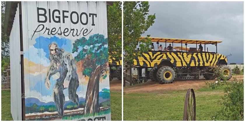 This Florida Farm Takes You on a Monster Truck Ride Through Bigfoot ...